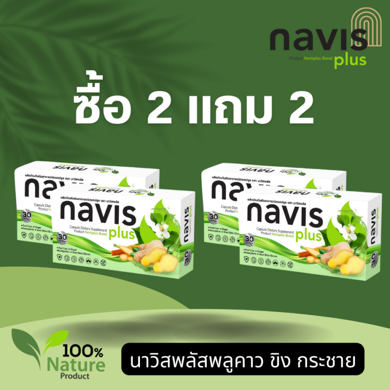 Navis-plus – navisplus