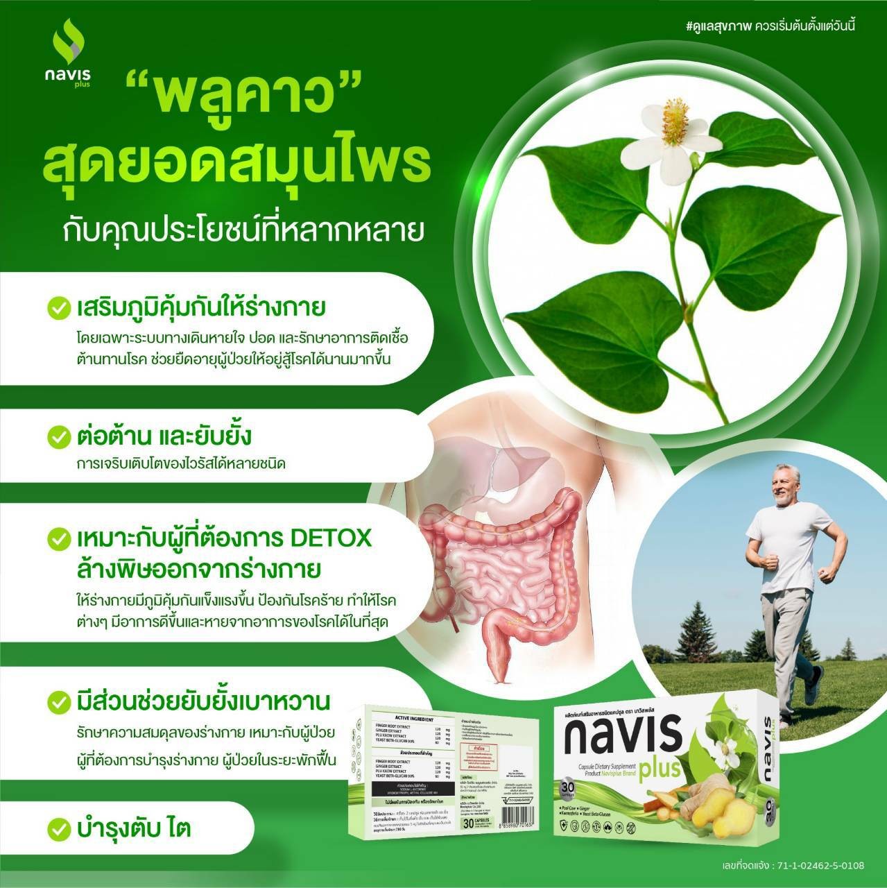 Navis-plus – navisplus