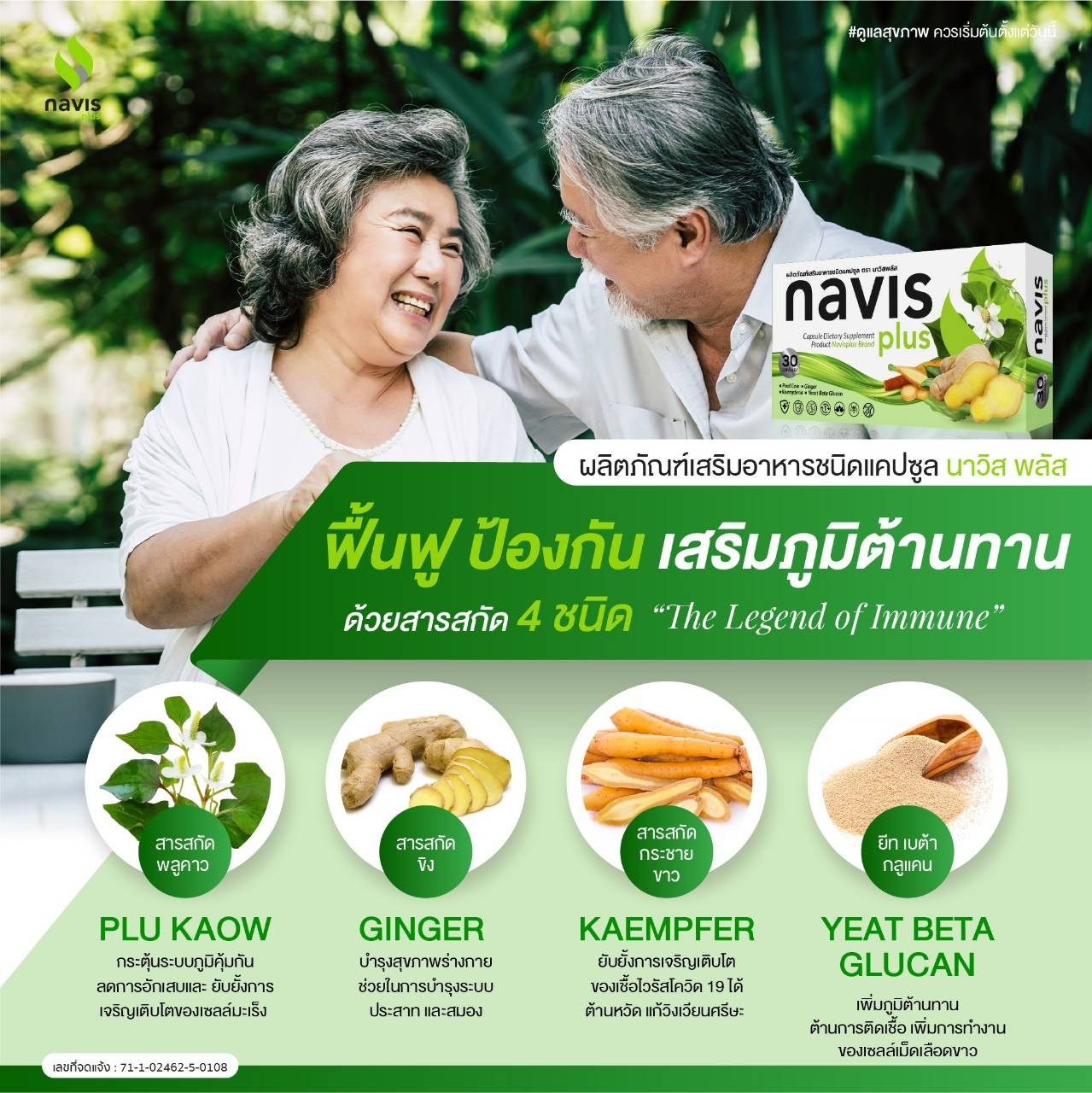 Navis-plus – navisplus