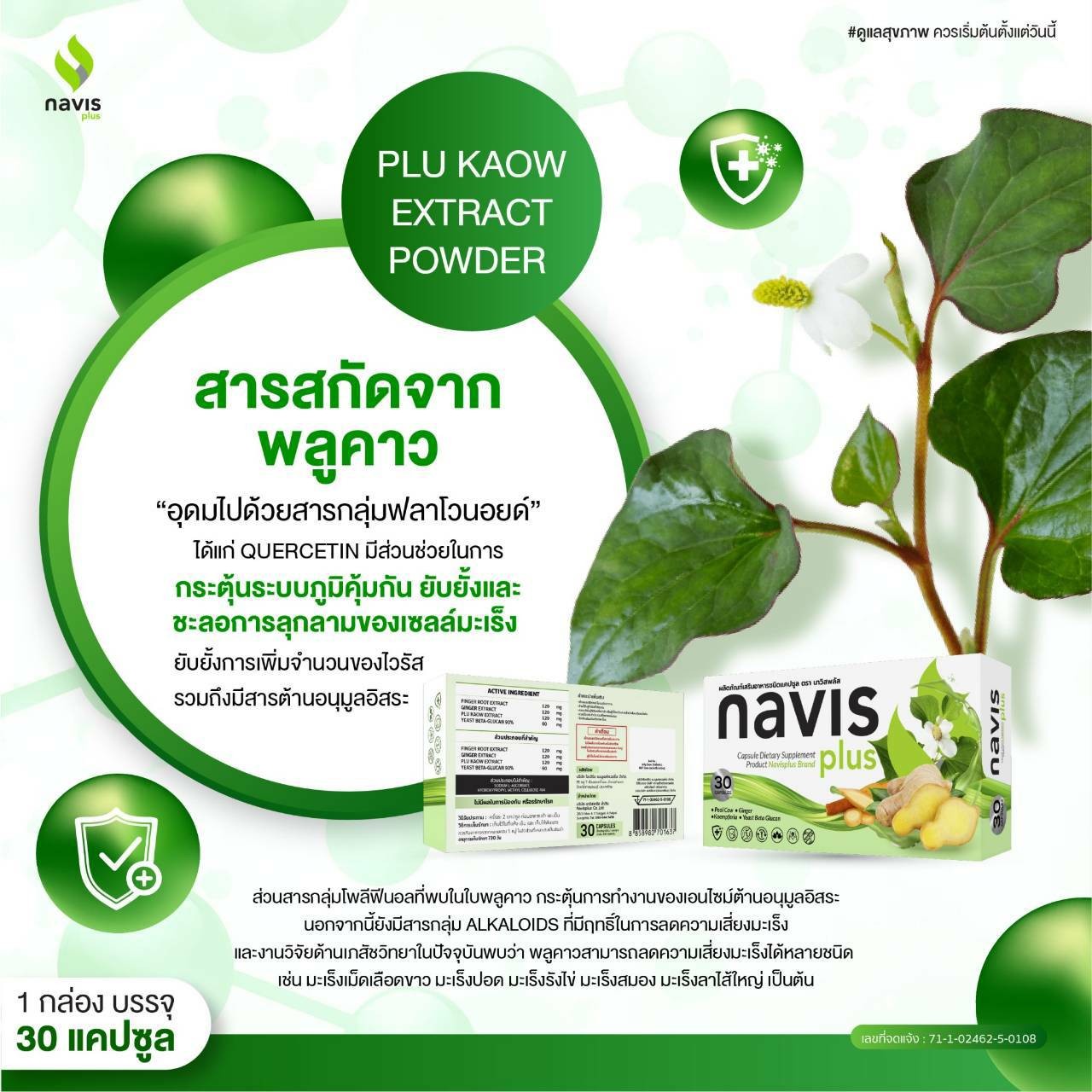Navis-plus – navisplus