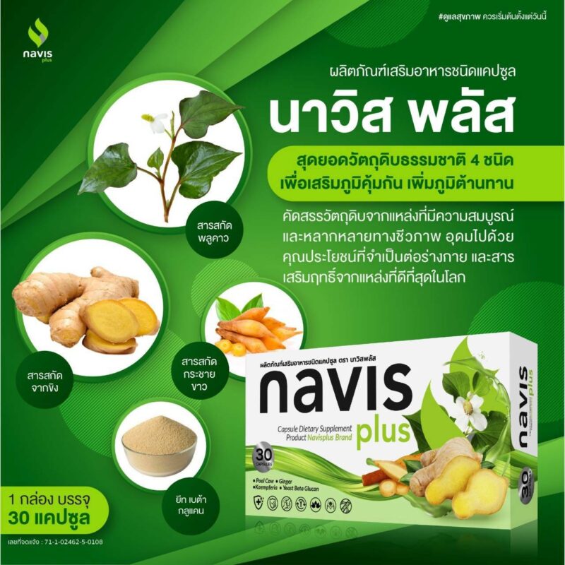 Navis-plus – navisplus