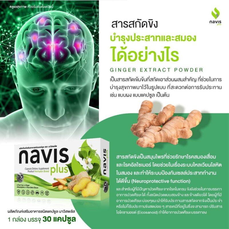 Navis-plus – navisplus